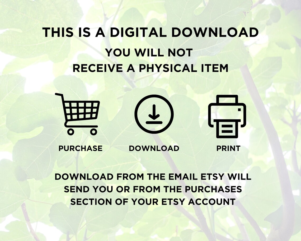 All About Me Spinner Wheel Coloring Activity, All About Me Spinner ...