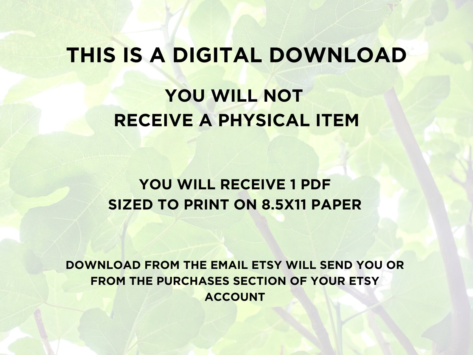 Summer Reading Challenge, Printable Reading Challenge, Summer Reading ...