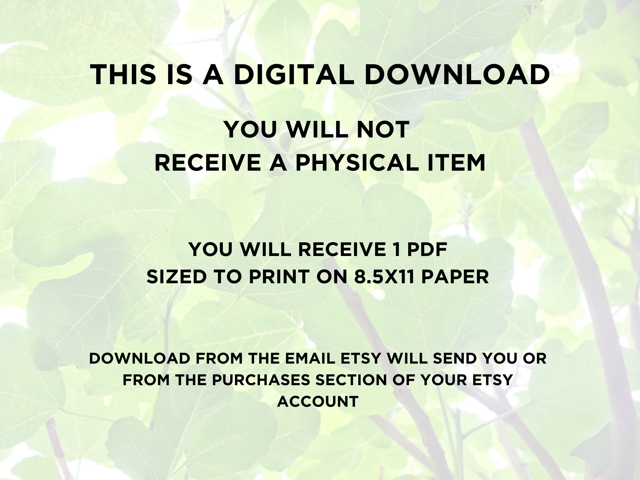 Summer Reading Challenge, Printable Reading Challenge, Summer Reading ...