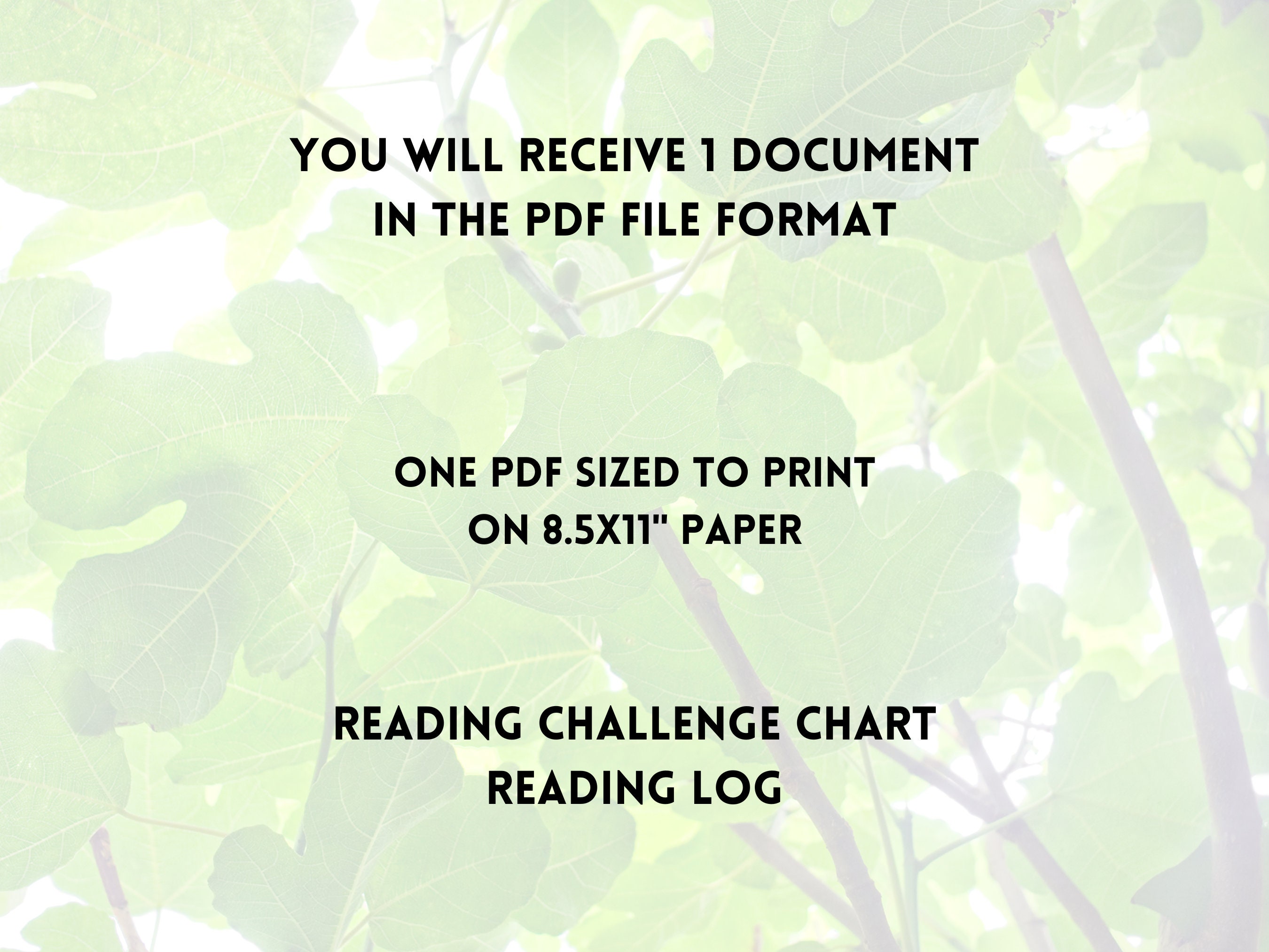 Summer Reading Challenge, Printable Reading Challenge, Summer Reading ...