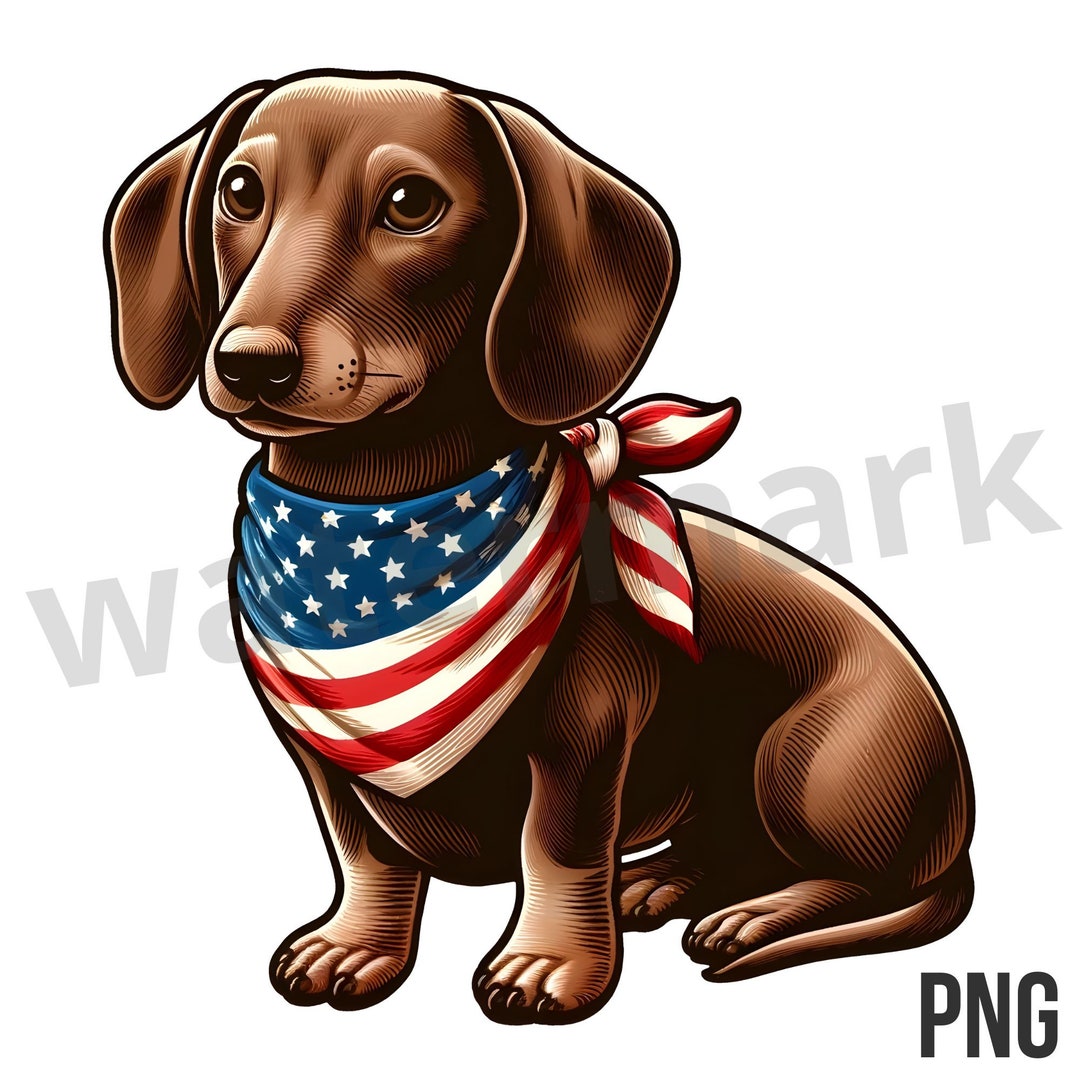 Vintage Style Dachshund With USA Flag Bandanna PNG, Brown Dachshund ...