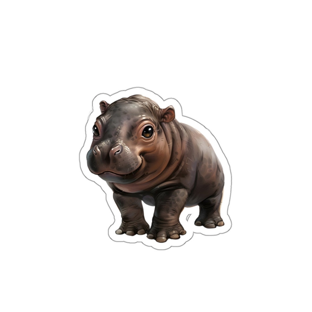 Baby Pygmy Hippo, Hippo Sticker, Stickers, Gift Stickers, Girly ...