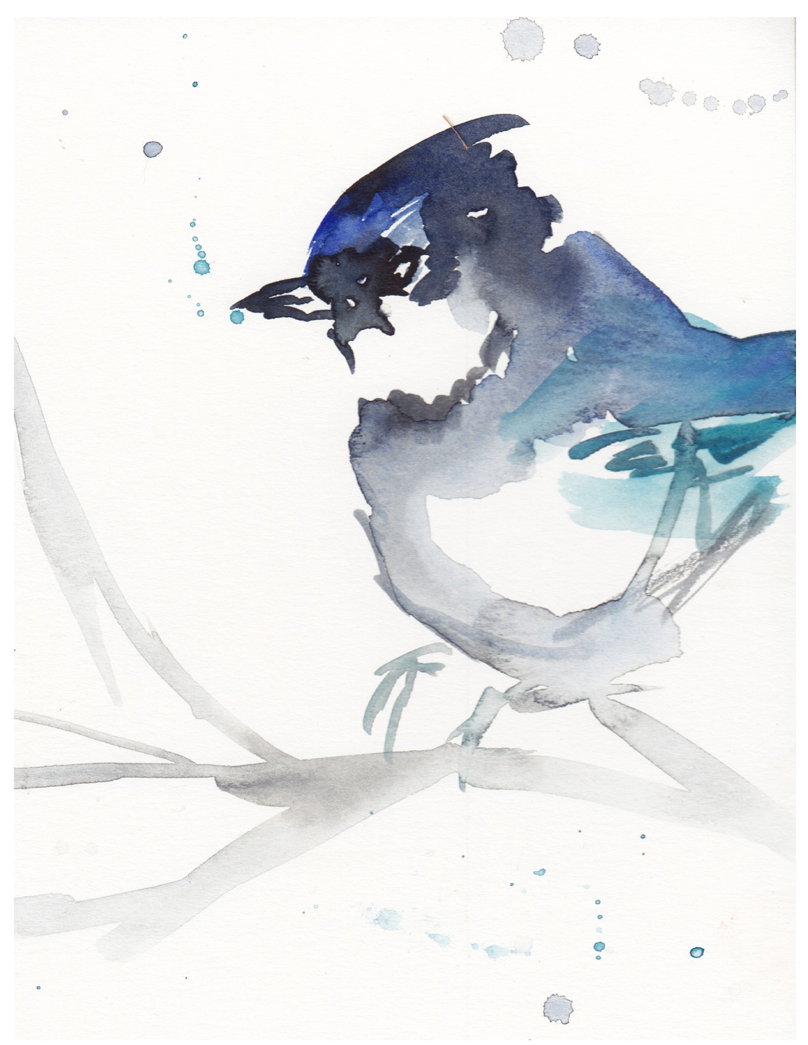 Blue Jay Watercolor Print - Etsy