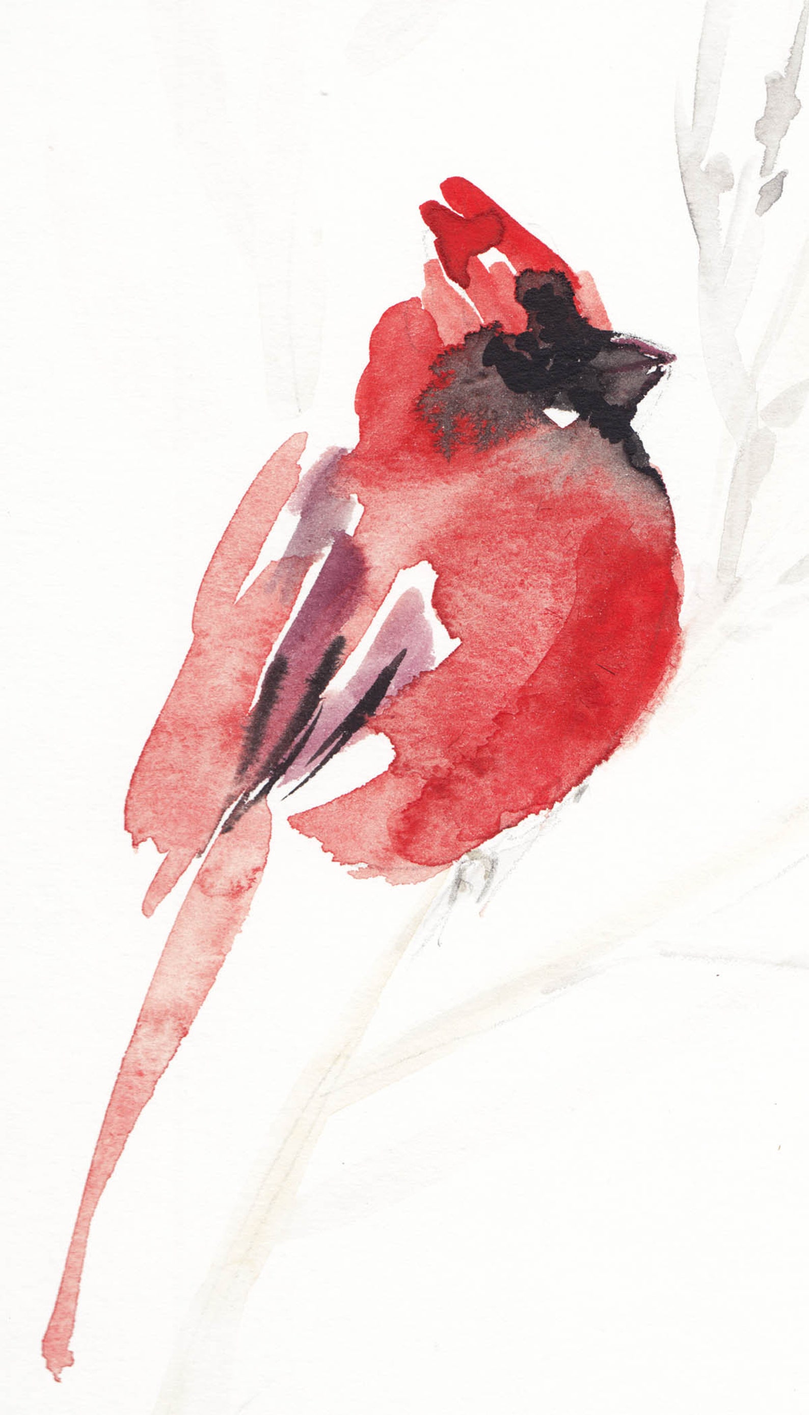Red Cardinal Card - Etsy