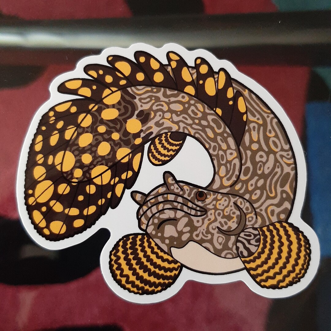 Ornate Bichir Vinyl Sticker - Etsy