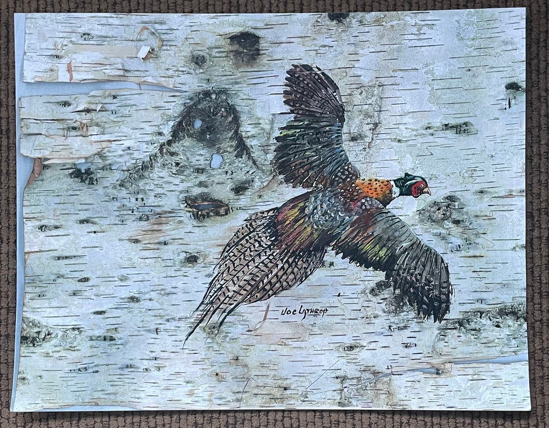Joe Lathrop Wildlife Artist Print Flying Quail Birch Background Print ...