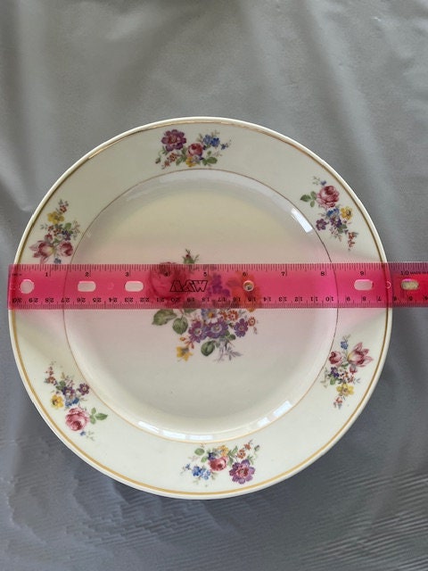 Vintage Zeh Scherzer Bavaria US Zone China 9 1/2 Inch Dinner Plate ...