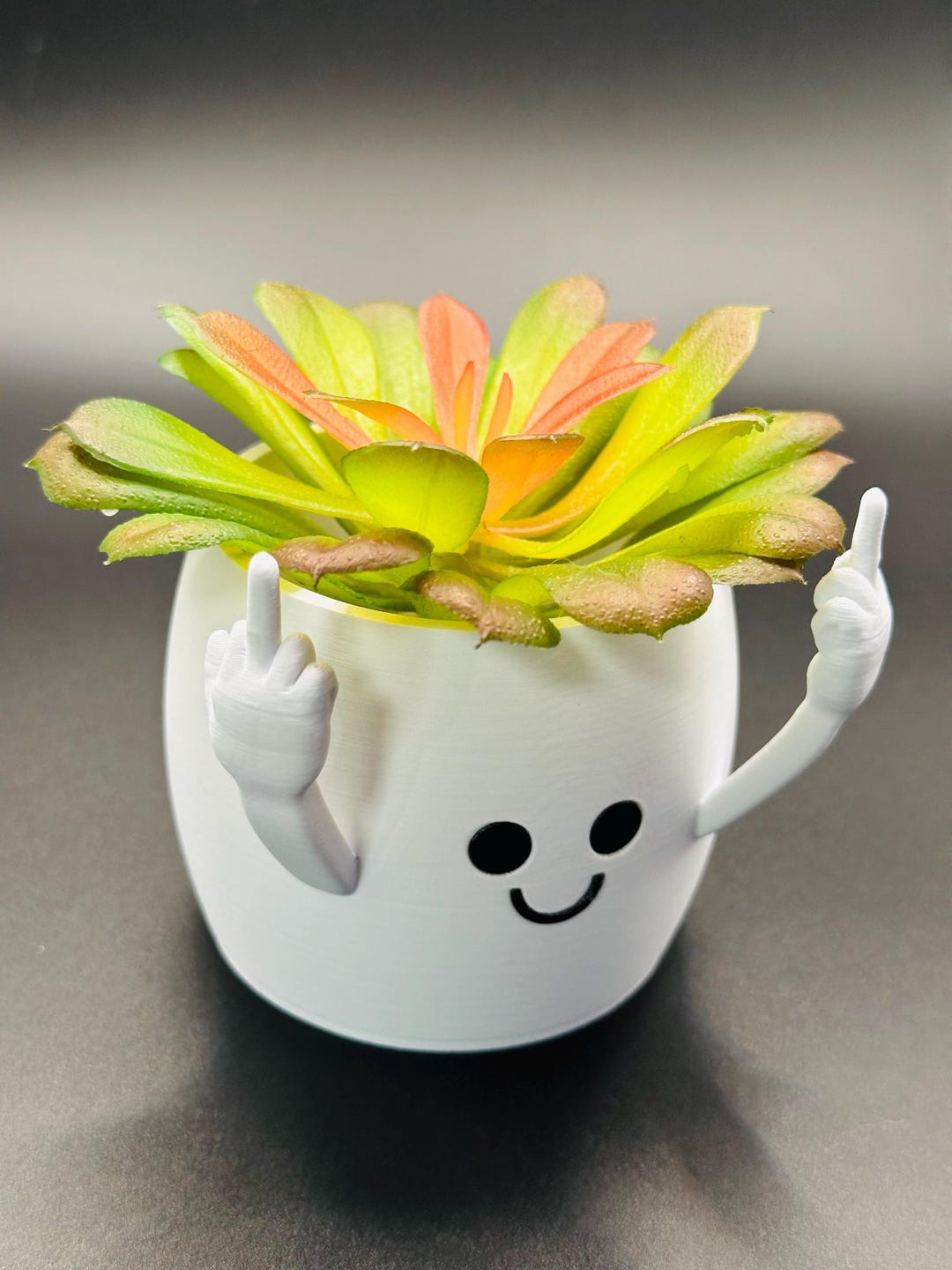 Happy Middle Finger Planter - Etsy