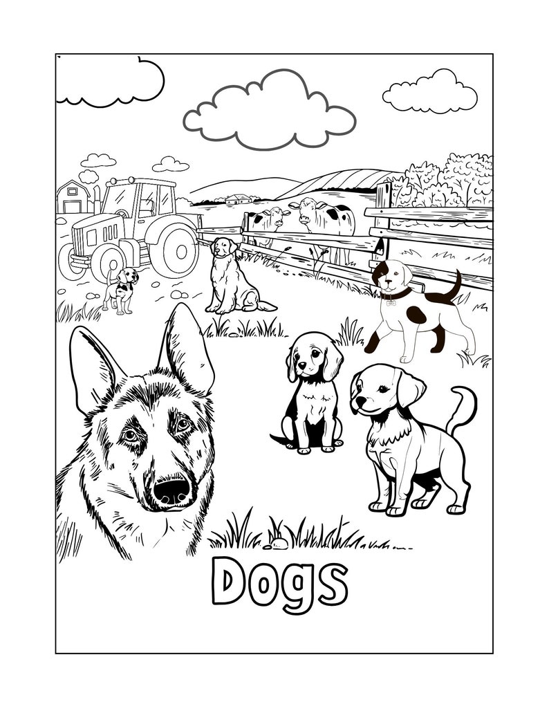 On the Farm Coloring Book Digital Print Pages - Etsy
