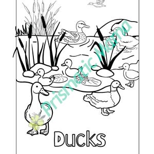On the Farm Coloring Book - Digital Print Pages - Etsy