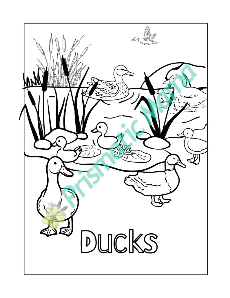 On the Farm Coloring Book - Digital Print Pages - Etsy