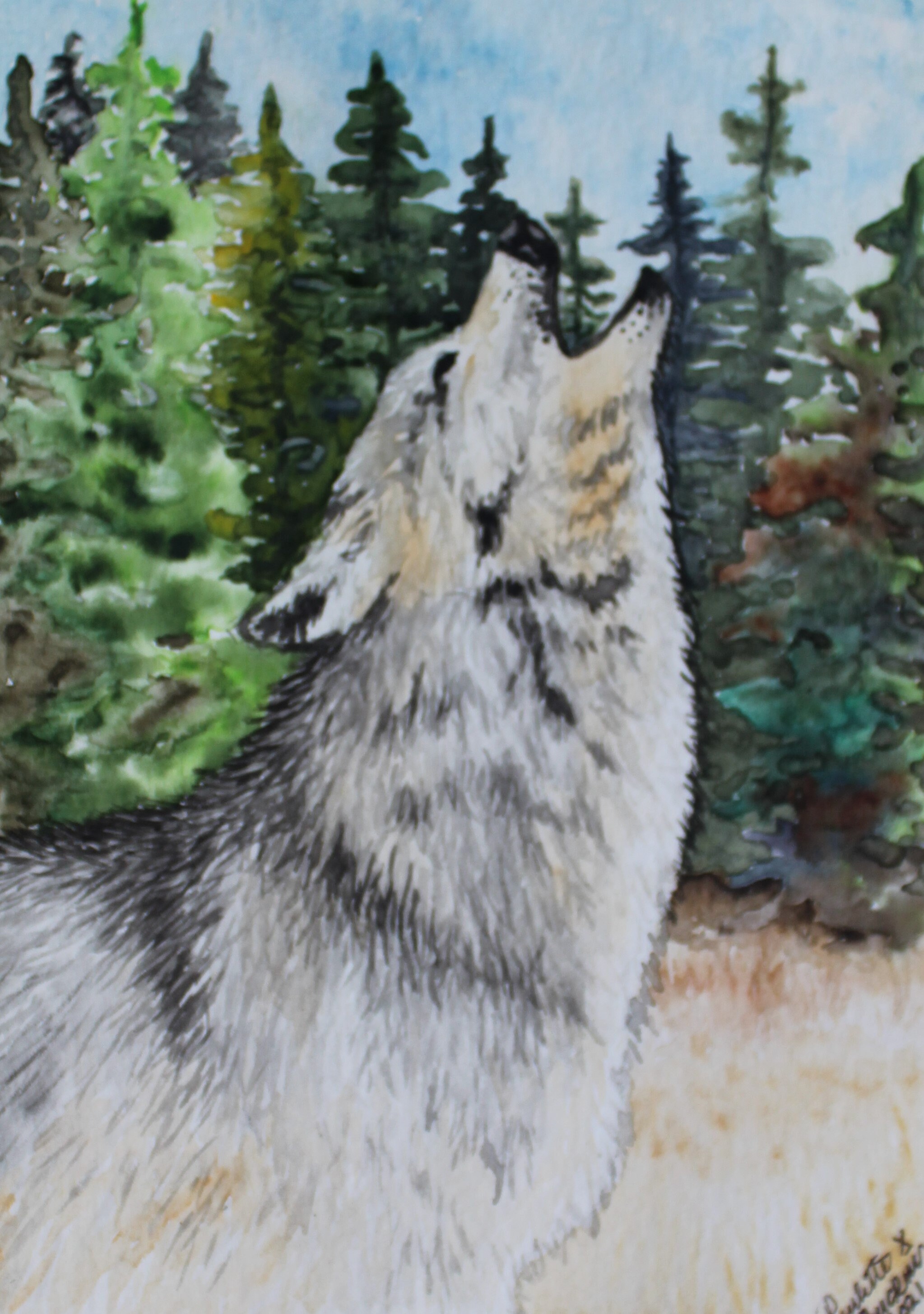 Mountain Grey Wolf Greeting Cards-original Print Watercolor Painting - Etsy