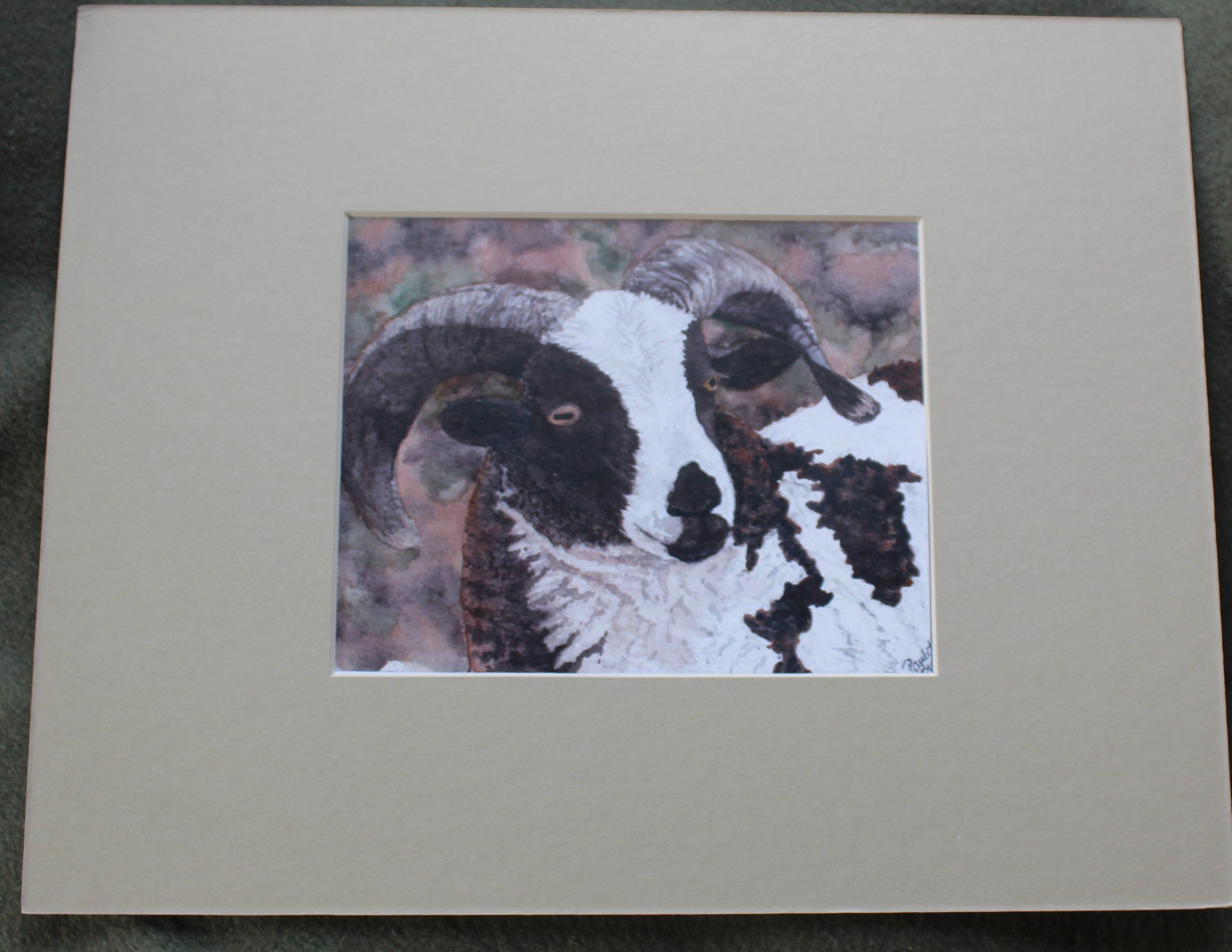 Jacob Sheep Watercolor Print Matted-original Artist's Print - Etsy