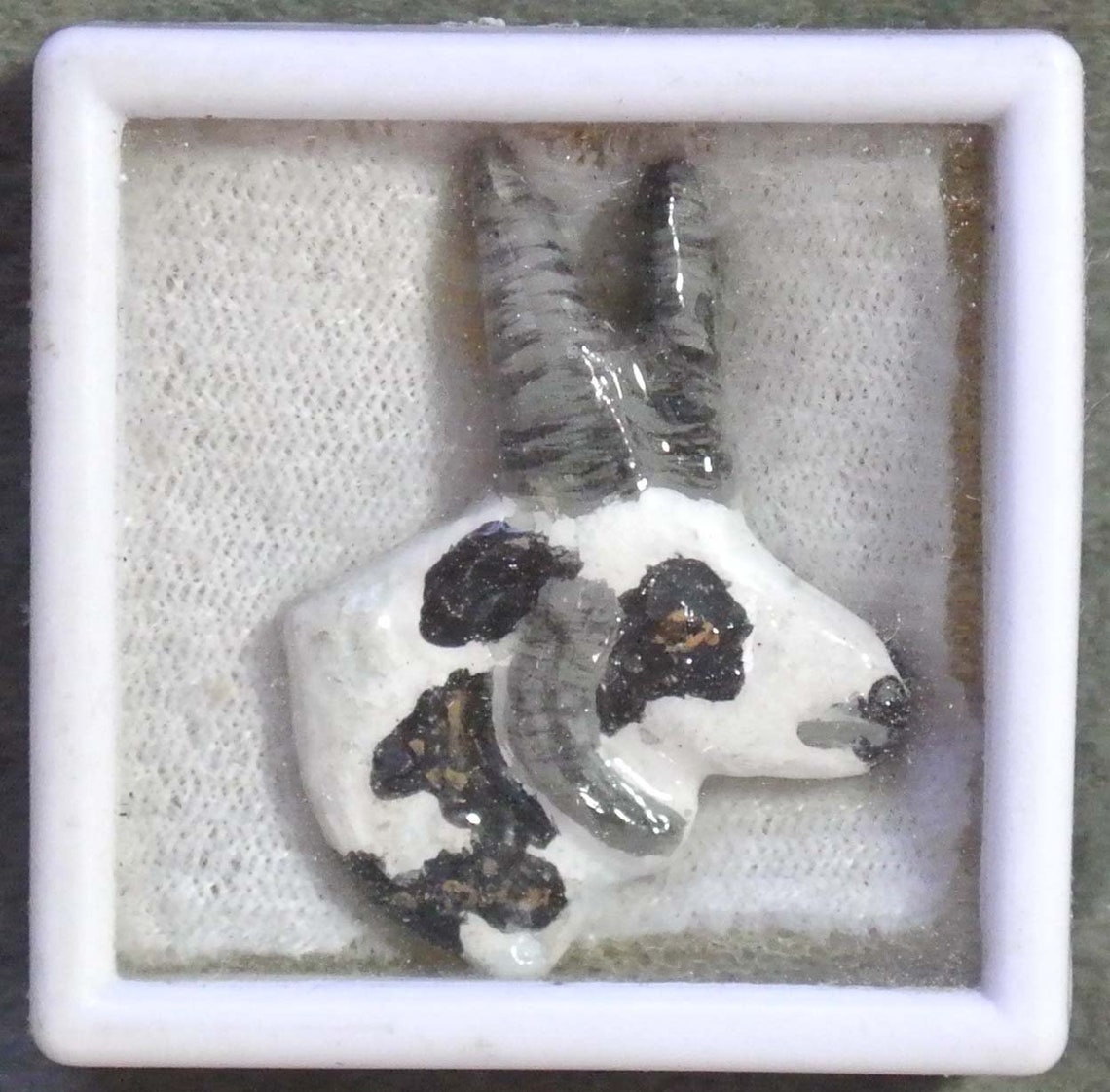 4 Horned Lilac Jacobs Sheep Bone Pin-sculpted Handmade - Etsy