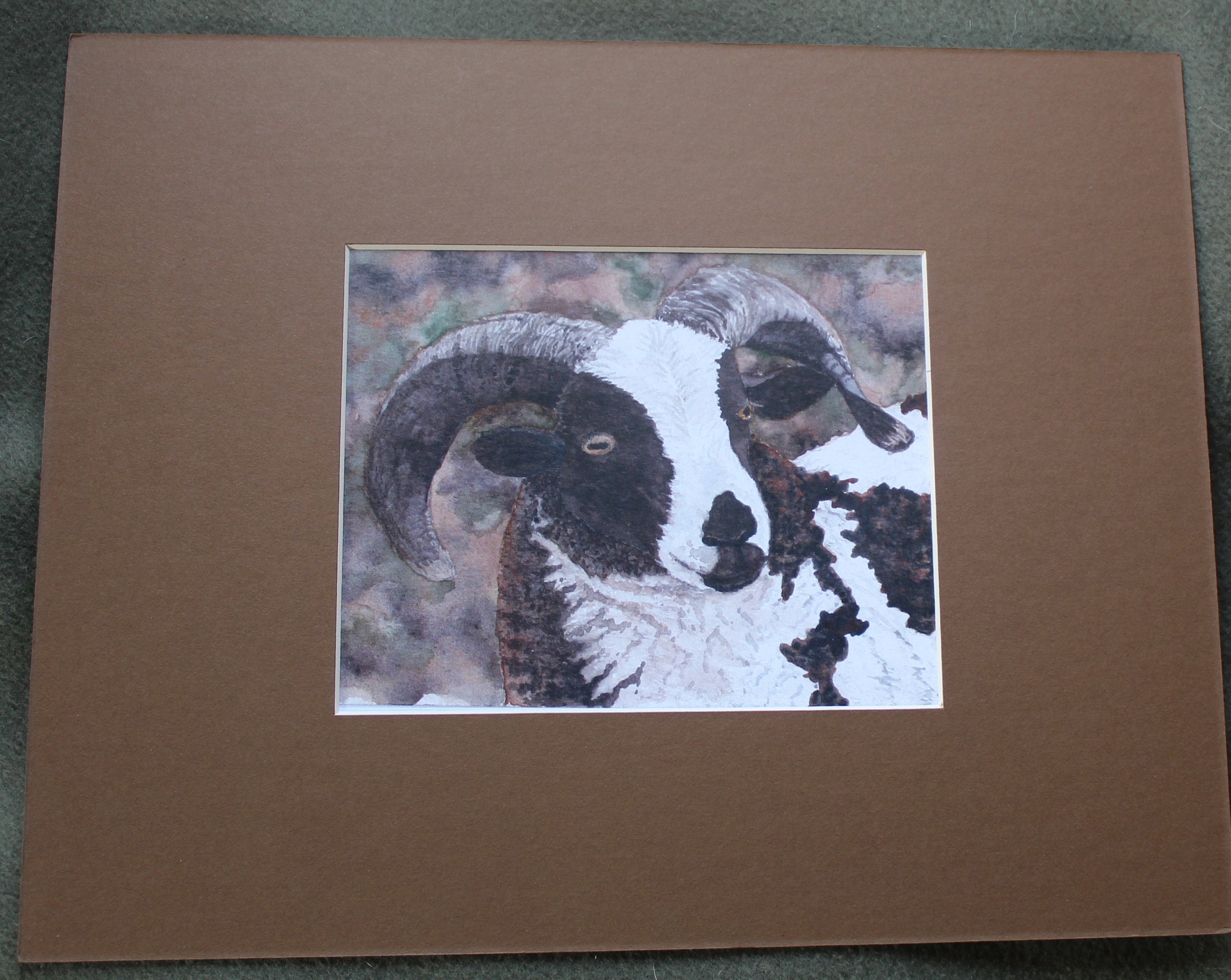 Jacob Sheep Watercolor Print Matted-original Artist's Print - Etsy