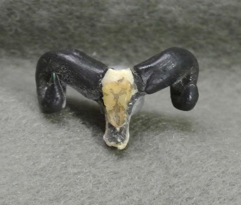 Ram Skull Bone Pin-handmade, Sculpted, Hand Painted - Etsy