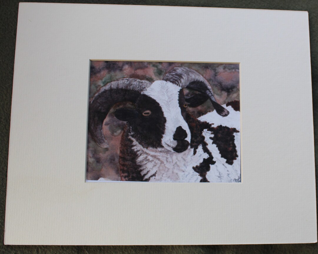 Jacob Sheep Watercolor Print Matted-original Artist's Print - Etsy