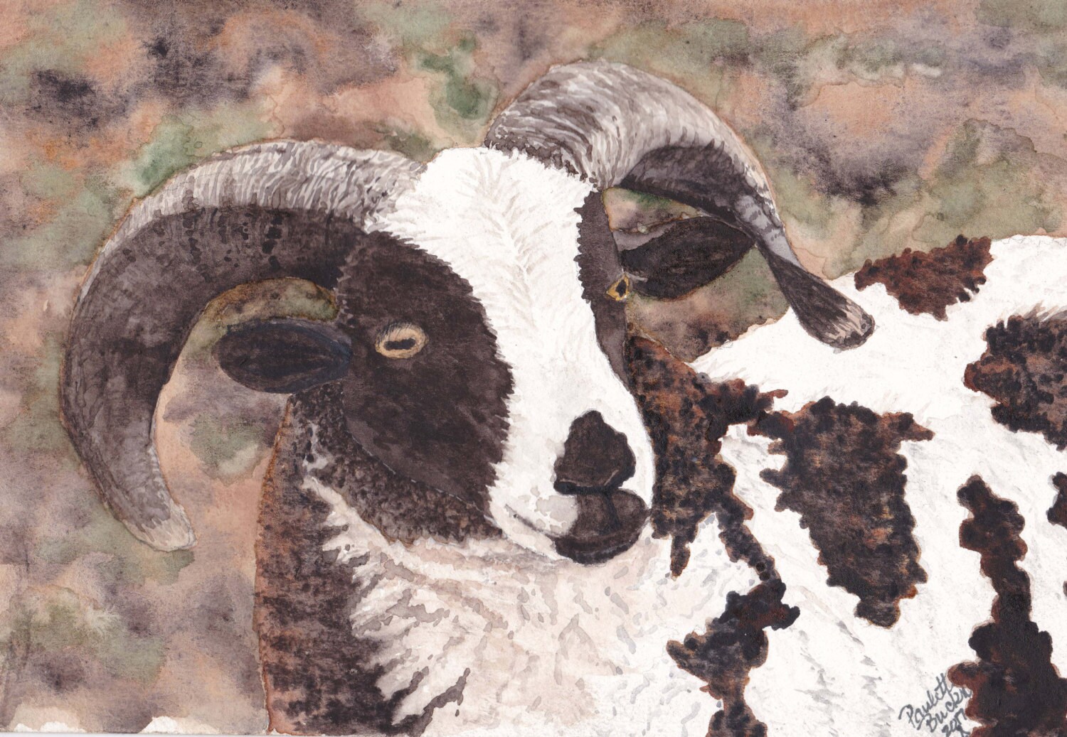 Jacob's Sheep Greeting Cards-6 W/envelopes-original - Etsy