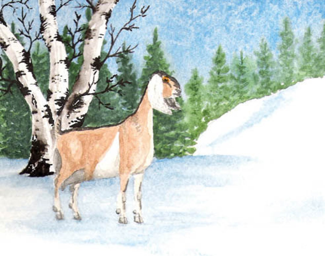 Nubian Doe Winter Greeting Cards - Etsy