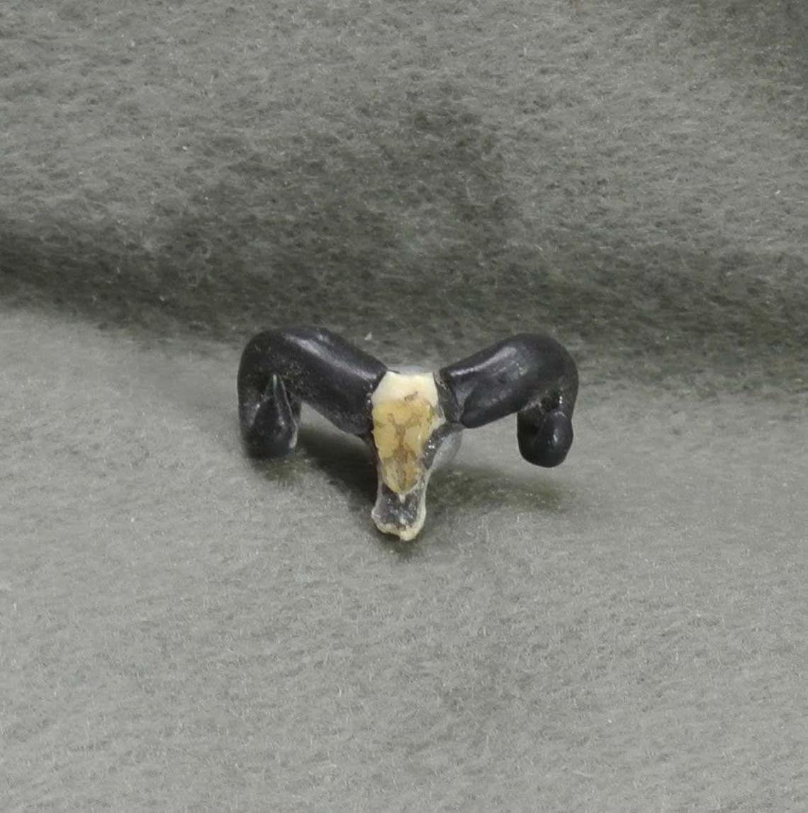 Ram Skull Bone Pin-handmade, Sculpted, Hand Painted - Etsy