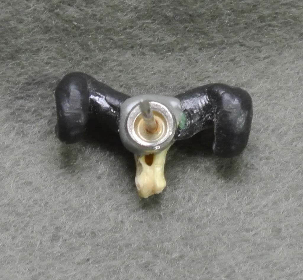 Ram Skull Bone Pin-handmade, Sculpted, Hand Painted - Etsy
