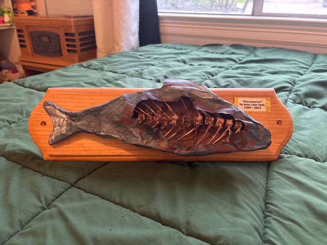 Real Fish Bone Surrealist Sculpture With Wooden Mount - Etsy