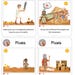 16 Flashcards: the Story of Moses for Sunday School - Etsy