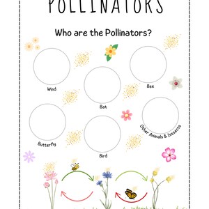 Plants Activities Parts of a Plant Life Cycle Plant Needs, Pollinators ...