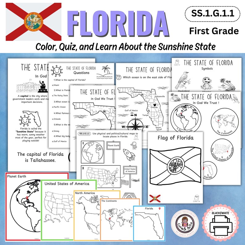 My Florida Symbols & Geography Pack/explore State Symbols, Geography ...