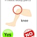 Public and Private Body Parts Cards - Personal Safety - Etsy