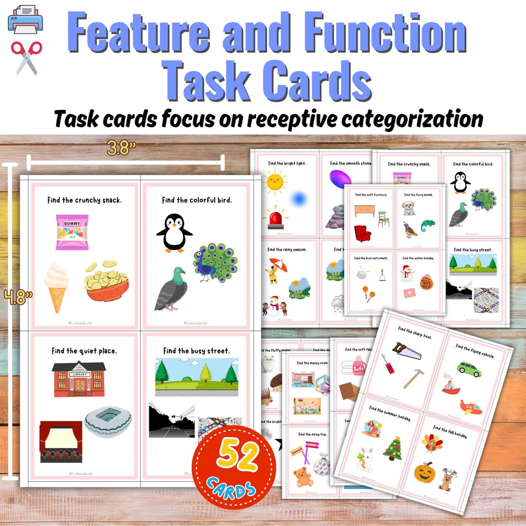 Feature and Function Task Cards Categorization - Etsy