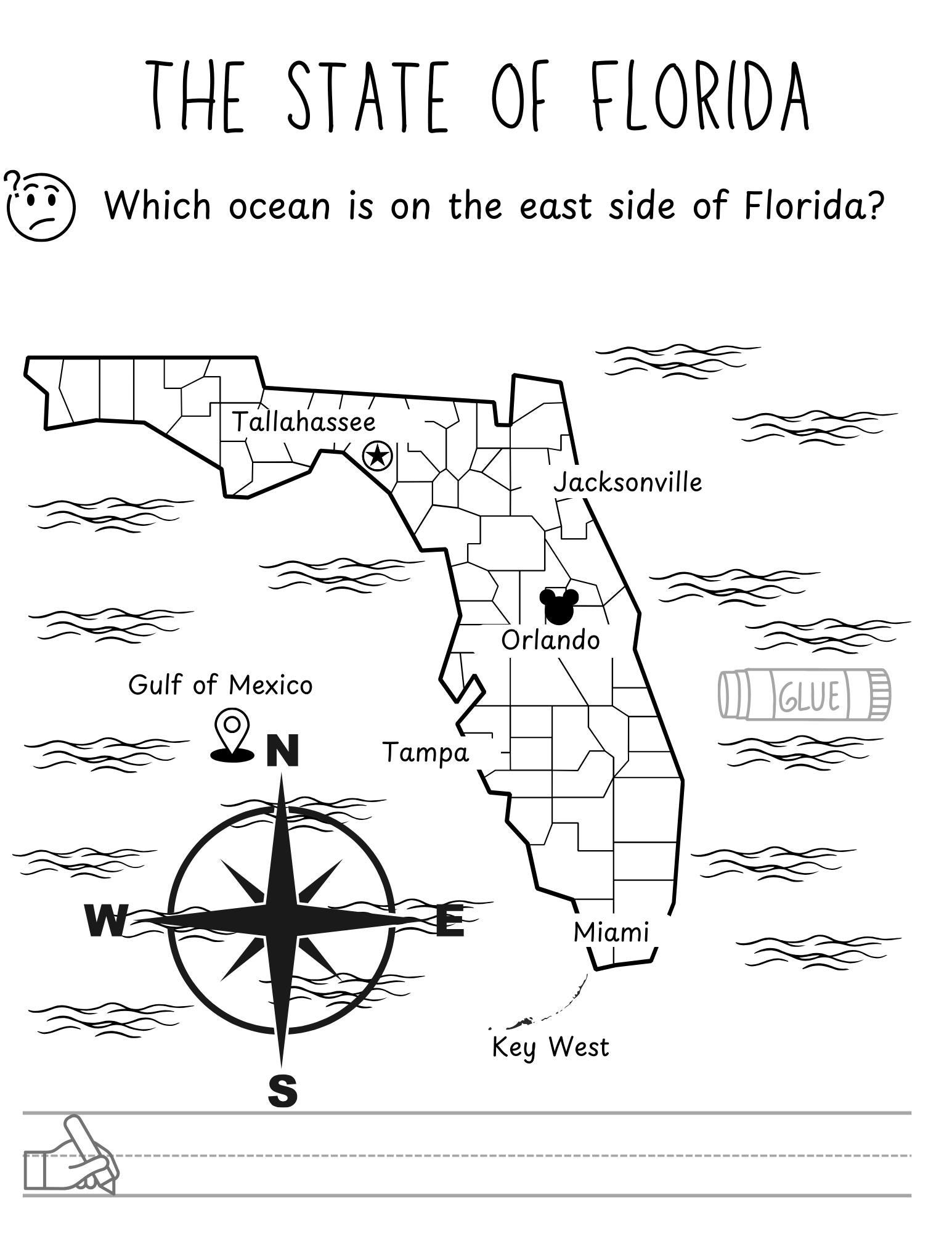 My Florida Symbols & Geography Pack/explore State Symbols, Geography ...