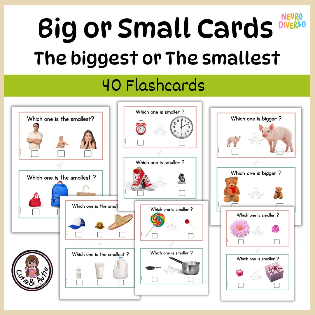 Big or Small - the Biggest or the Smallest - 40 Flashcards for Special ...