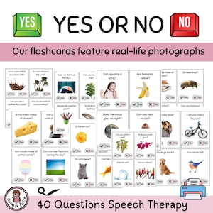 Yes - No 40 Questions Speech Therapy WITH REAL PICTURES! - Etsy