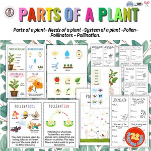Plants Activities Parts of a Plant Life Cycle Plant Needs, Pollinators+ ...