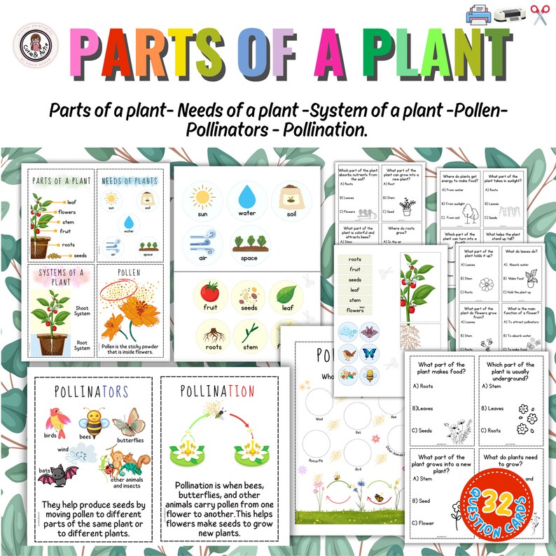 Plants Activities Parts of a Plant Life Cycle Plant Needs, Pollinators+ ...