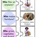 Interactive Who Questions Puzzle: Speech Therapy Tool for Language ...