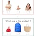 Big or Small - the Biggest or the Smallest - 40 Flashcards for Special ...