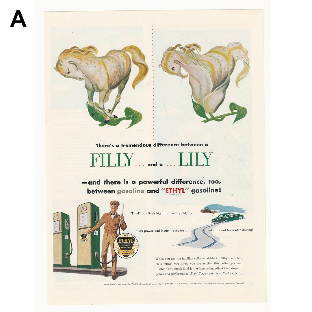 Large Vintage Ads Featuring Animals | 1960s | Ethyl Corporation ...