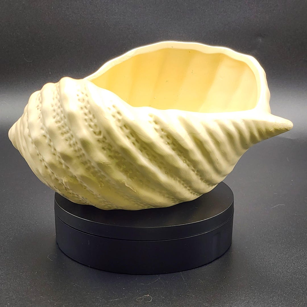 Sea Shell Planter | Ceramic Conch Shell Bowl | Trinket Dish | Sold as ...