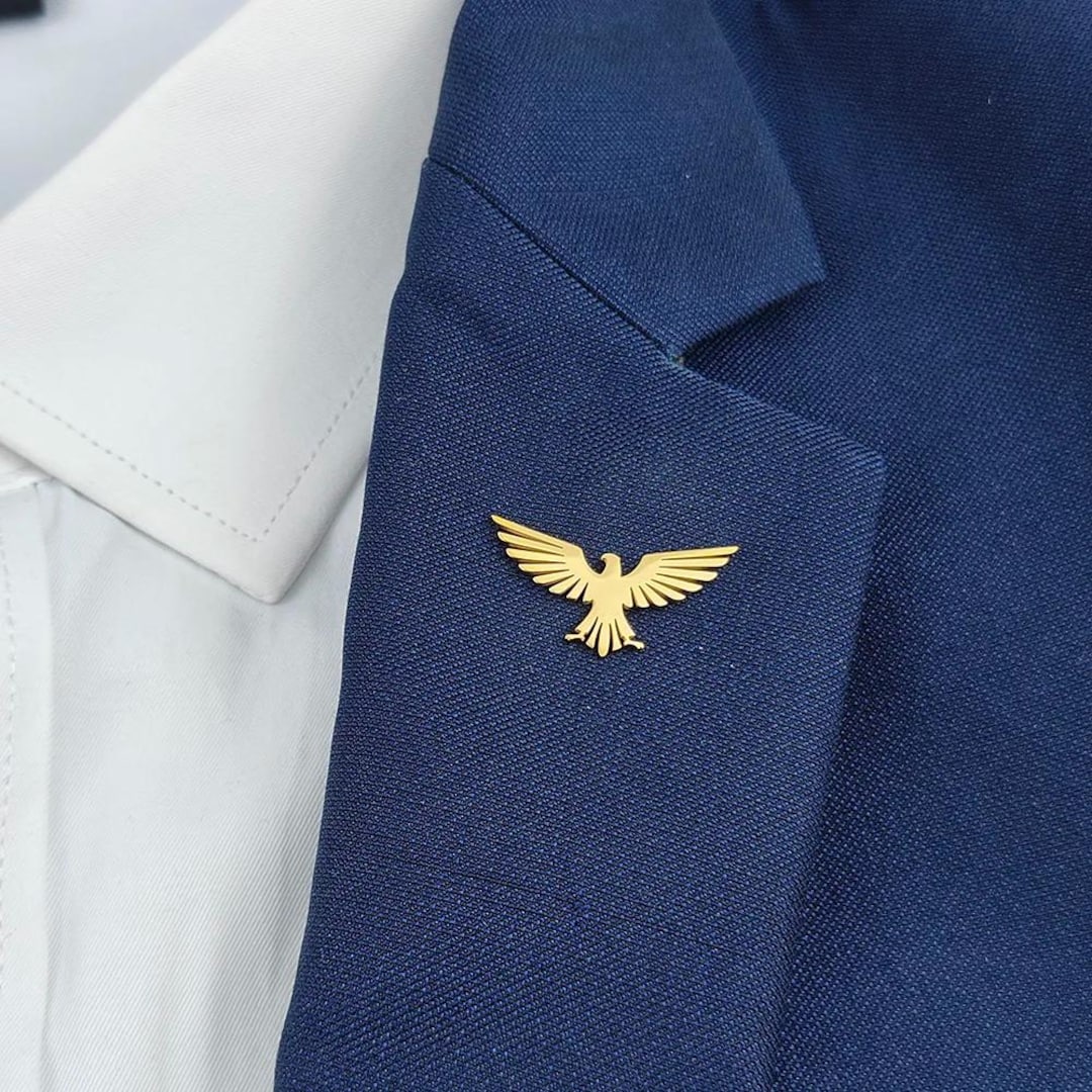 Eagle Brooch Pin for Men Women | Eagle Shape Brooch Pin Gold Silver Pin ...