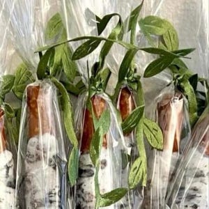 Cookies 'N Cream "birch Tree" Inspired Pretzel Rods (set of 12) - Etsy