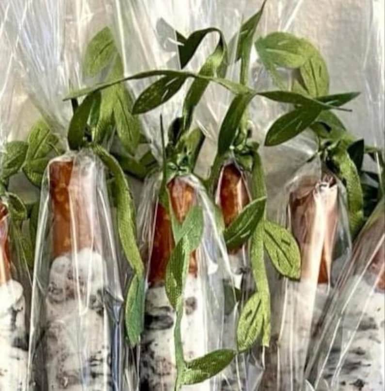 Cookies 'N Cream "birch Tree" Inspired Pretzel Rods (50 Rods) - Etsy
