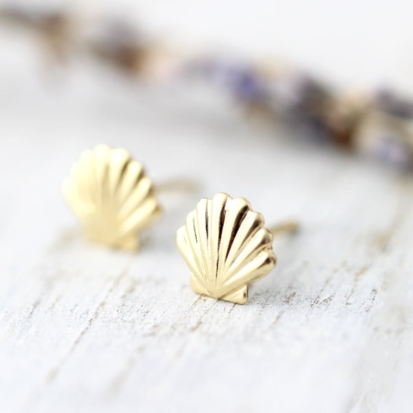 Shell Stud Earrings - Etsy