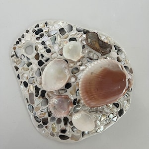 Daughter of Pearl Seashell Paint Palette - Etsy