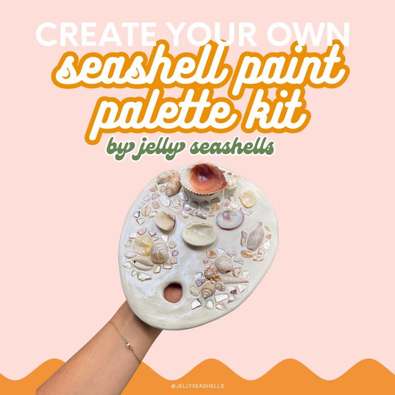 JellySeashells - Etsy