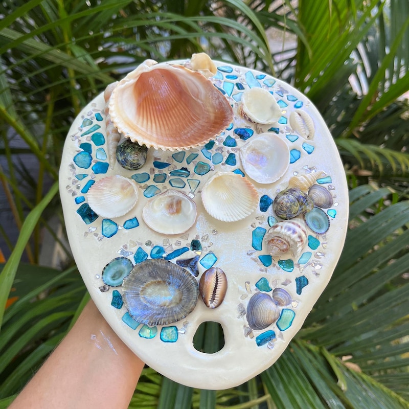 JellySeashells - Etsy