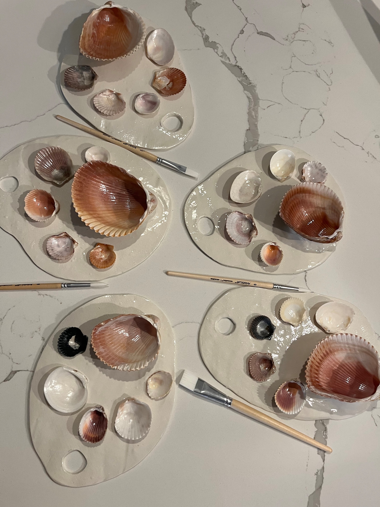 Seashell Paint Palette - Etsy