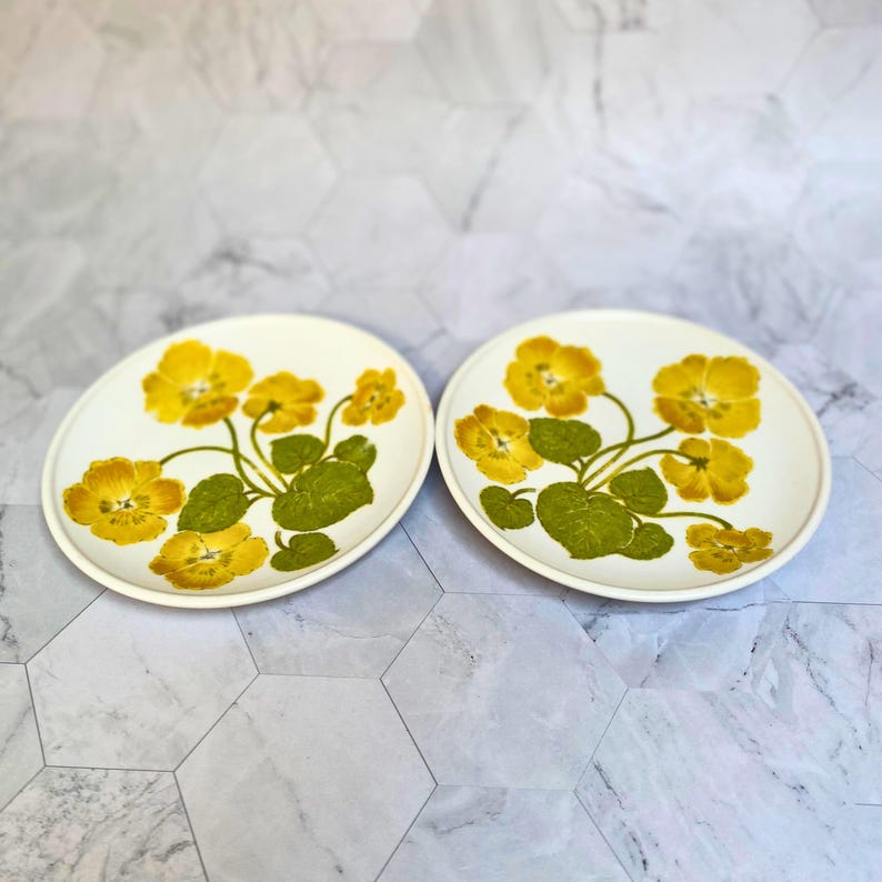Vintage NORITAKE Yellow Flower Time Plates BONUS Franciscan Mugs Japan ...
