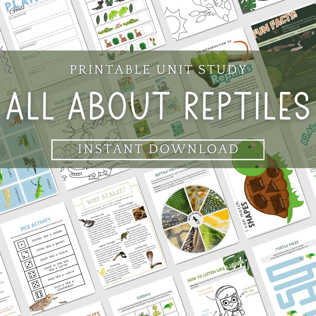 Little Critter Club: All About Reptiles Early Learning Bundle - Etsy